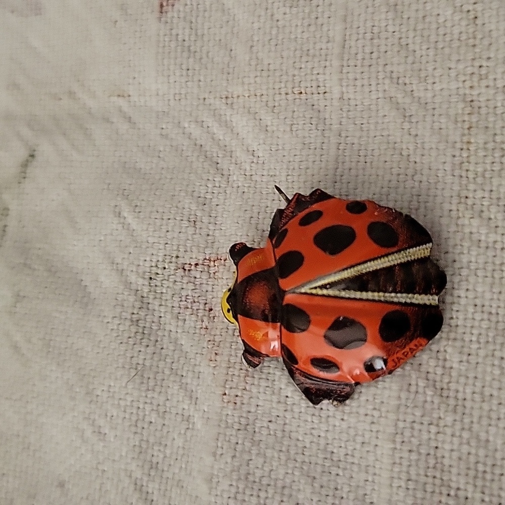 Vintage Ladybug Tin Pin Gem
